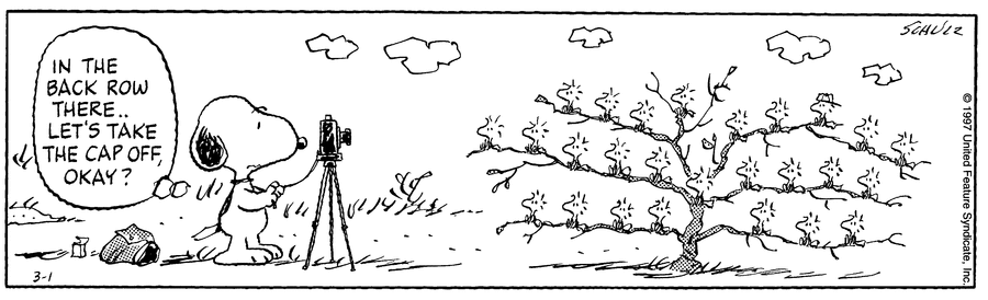 March 1997 comic strips | Peanuts Wiki | Fandom