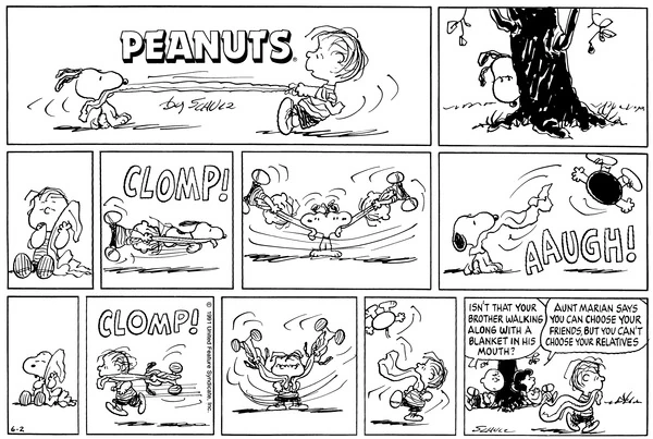 June 1991 comic strips | Peanuts Wiki | Fandom