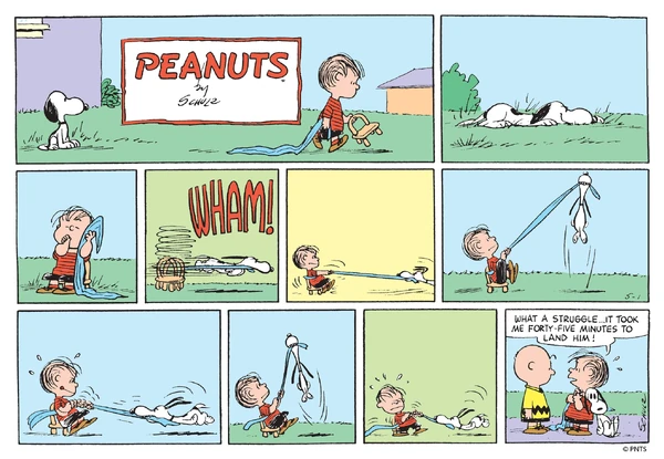 May 1960 comic strips | Peanuts Wiki | Fandom