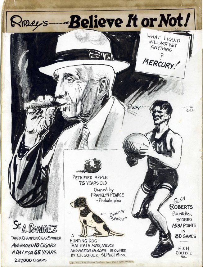 Category Other Comic Strips Peanuts Wiki Fandom