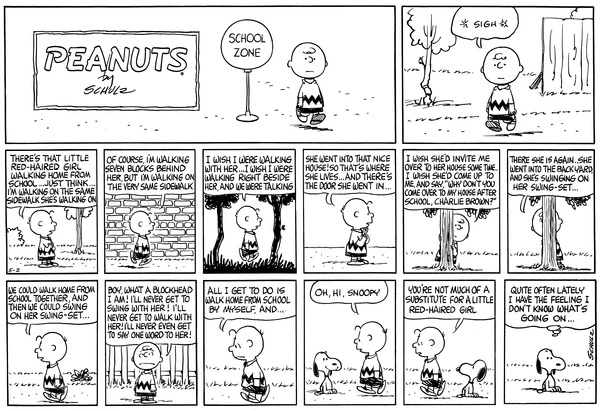 May 1965 comic strips | Peanuts Wiki | Fandom