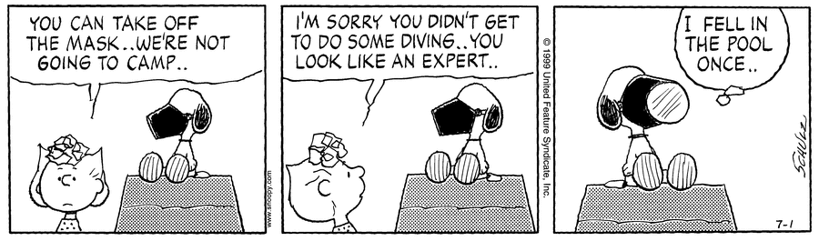 July 1999 comic strips | Peanuts Wiki | Fandom