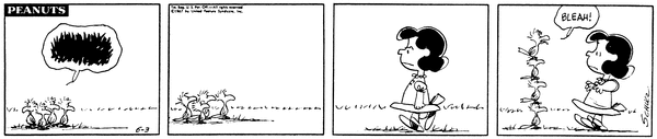June 1967 comic strips | Peanuts Wiki | Fandom