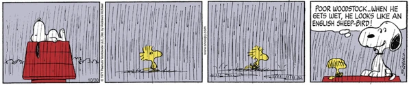 November 1971 comic strips | Peanuts Wiki | Fandom