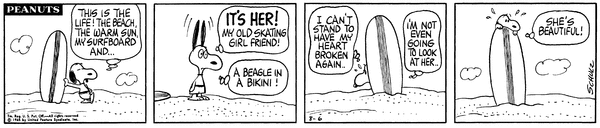 Beach-Beagle | Peanuts Wiki | Fandom