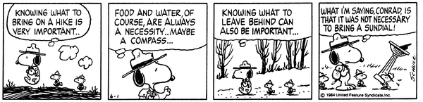 June 1984 comic strips | Peanuts Wiki | Fandom