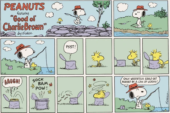 May 1976 comic strips | Peanuts Wiki | Fandom