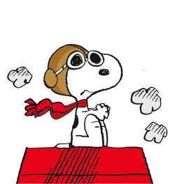 what plane does snoopy fly