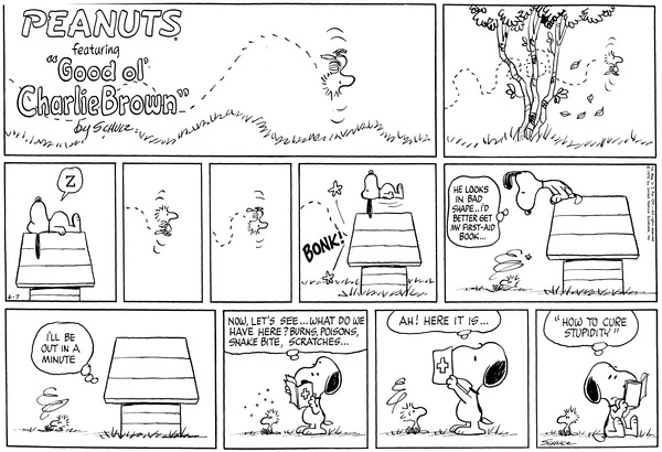 June 1970 comic strips | Peanuts Wiki | Fandom