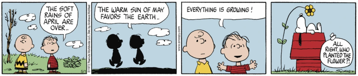 May 1972 comic strips | Peanuts Wiki | Fandom