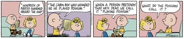 June 1972 comic strips | Peanuts Wiki | Fandom
