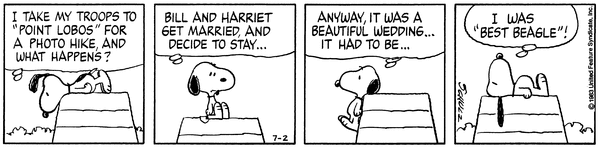 July 1983 comic strips | Peanuts Wiki | Fandom