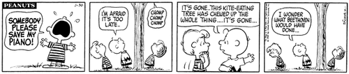 Schroeder's piano | Peanuts Wiki | Fandom