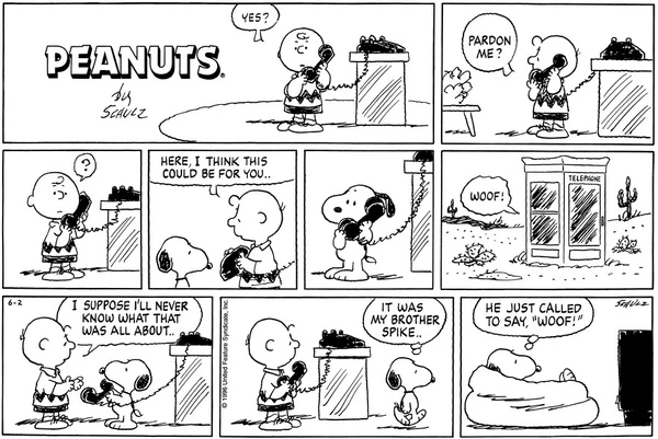 June 1996 comic strips | Peanuts Wiki | Fandom