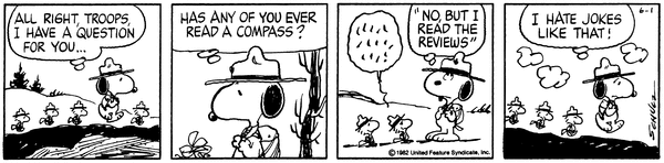 June 1982 comic strips | Peanuts Wiki | Fandom