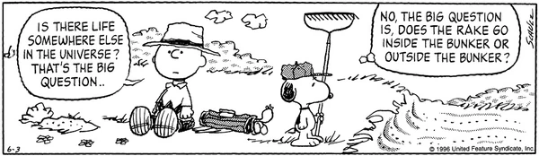 June 1996 comic strips | Peanuts Wiki | Fandom
