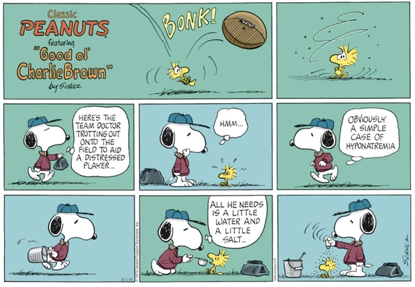 December 1973 comic strips | Peanuts Wiki | Fandom