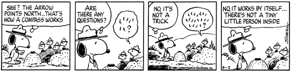 June 1982 comic strips | Peanuts Wiki | Fandom