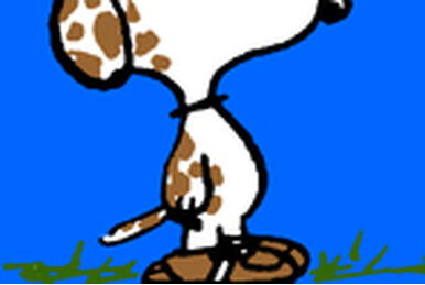 Eireaball Cat Snoopy