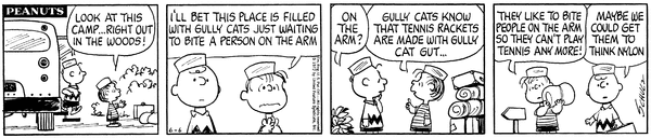 Gully Cats and Queen Snakes | Peanuts Wiki | Fandom