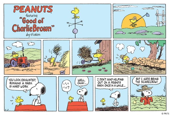 June 1979 comic strips | Peanuts Wiki | Fandom