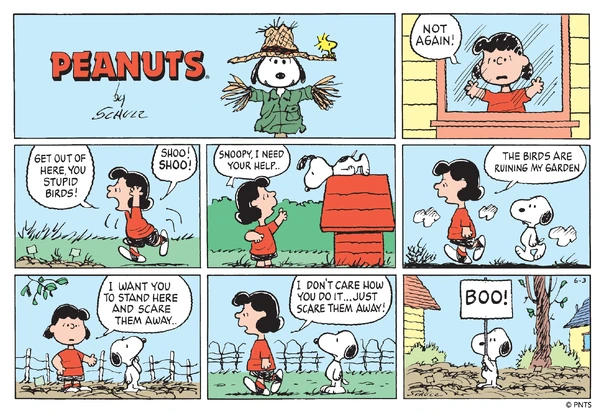 June 1990 comic strips | Peanuts Wiki | Fandom
