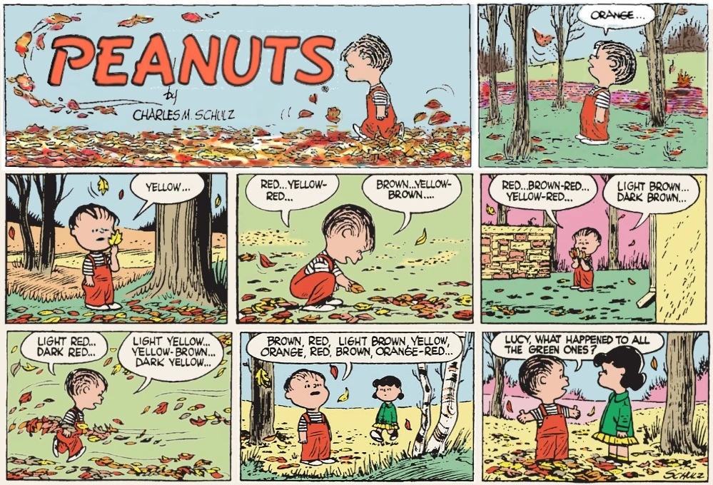 November 1955 comic strips | Peanuts Wiki | Fandom