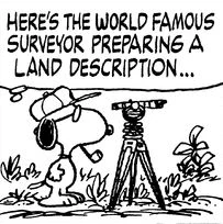 World Famous Surveyor | Peanuts Wiki | Fandom