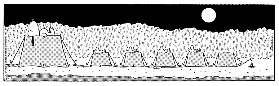 June 1998 comic strips | Peanuts Wiki | Fandom
