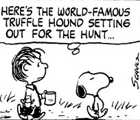 snoopy hunt