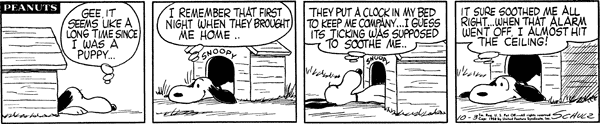 October 1958 comic strips | Peanuts Wiki | Fandom
