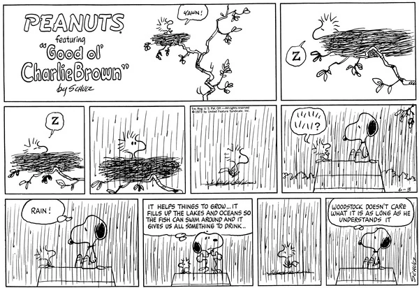 June 1973 comic strips - Peanuts Wiki