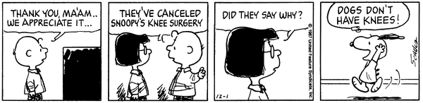 Category:1987 | Peanuts Wiki | Fandom