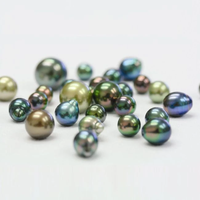 Tahitian Pearls/Gallery | Pearl Wiki | Fandom