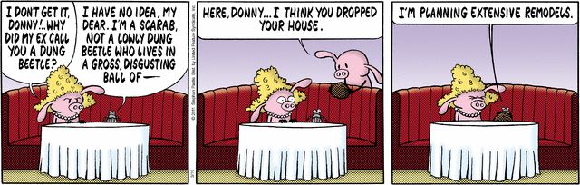 Donny the Dung Beetle | Pearls Before Swine Wiki | Fandom