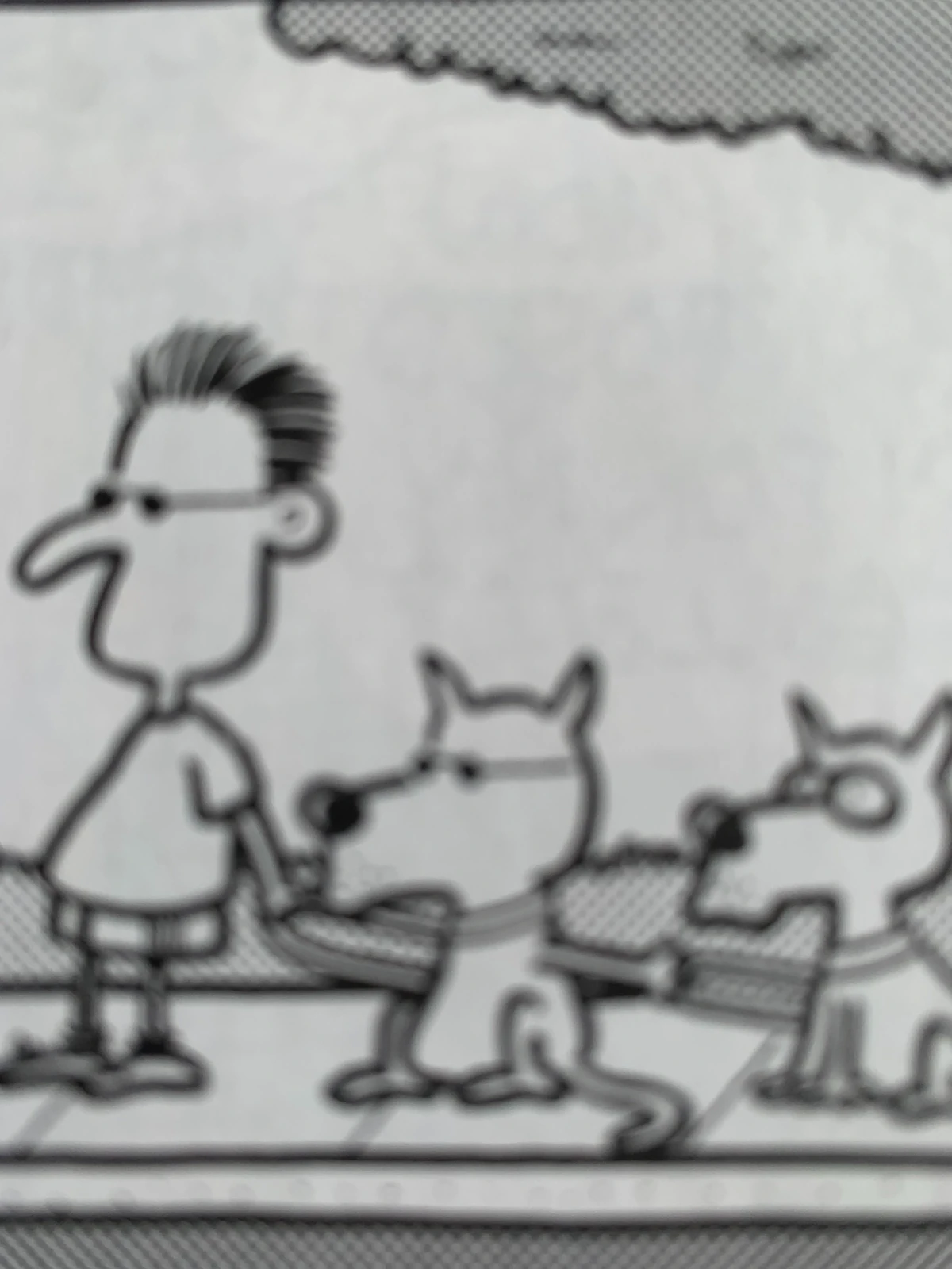 Mr. Bailey | Pearls Before Swine Wiki | Fandom