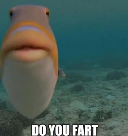 Stultus | Pedagondia Faunas Wiki | Fandom