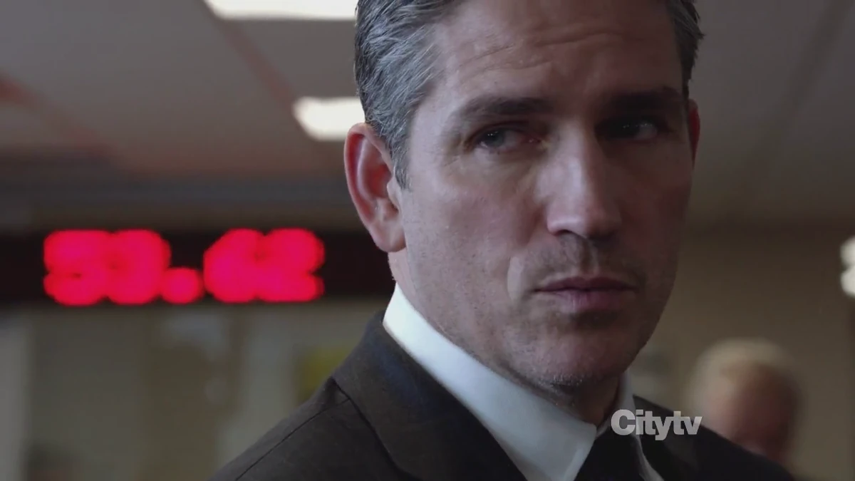 Risk/Cast and Characters | Person of Interest Wiki | Fandom