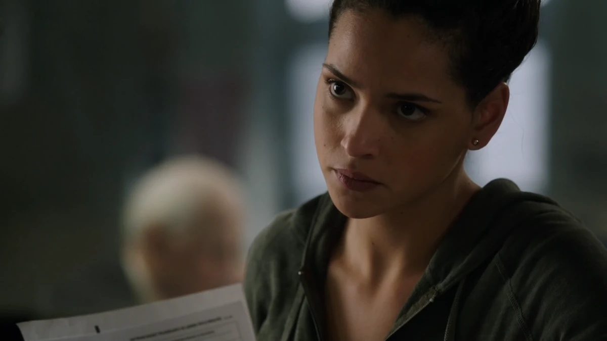 Dani Silva | Person of Interest Wiki | Fandom