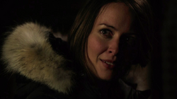 Root | Person of Interest Wiki | Fandom