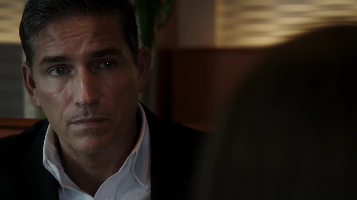 6,741/Cast and Characters | Person of Interest Wiki | Fandom