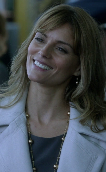 Susan Misner Person Of Interest