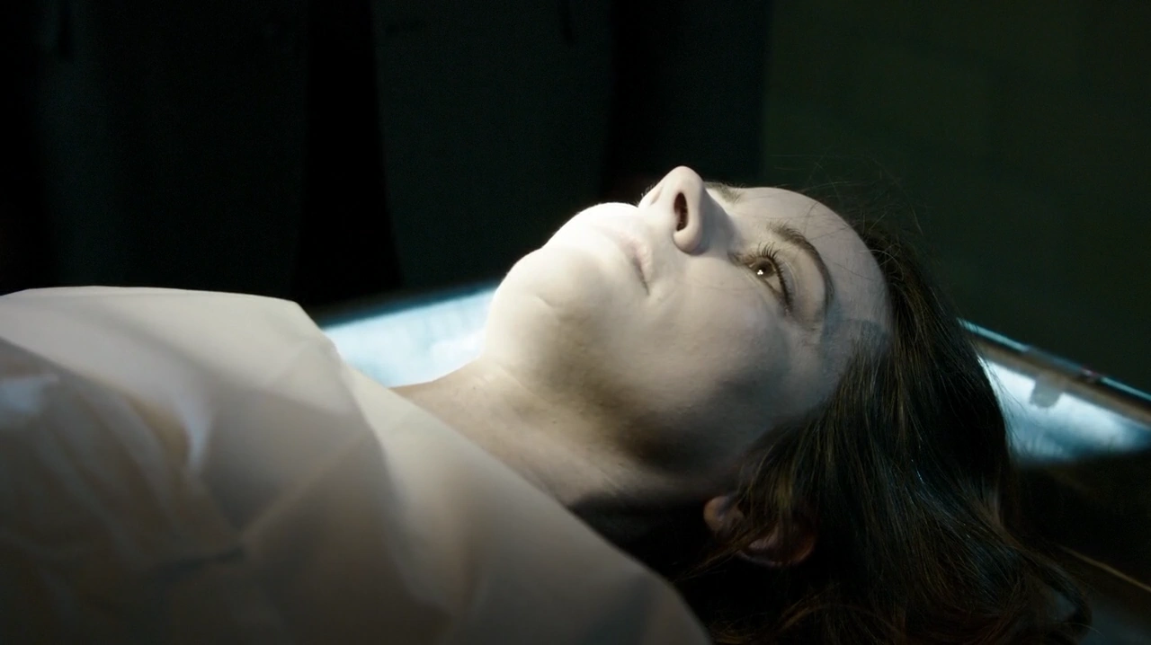 Person Of Interest Root Wallpaper