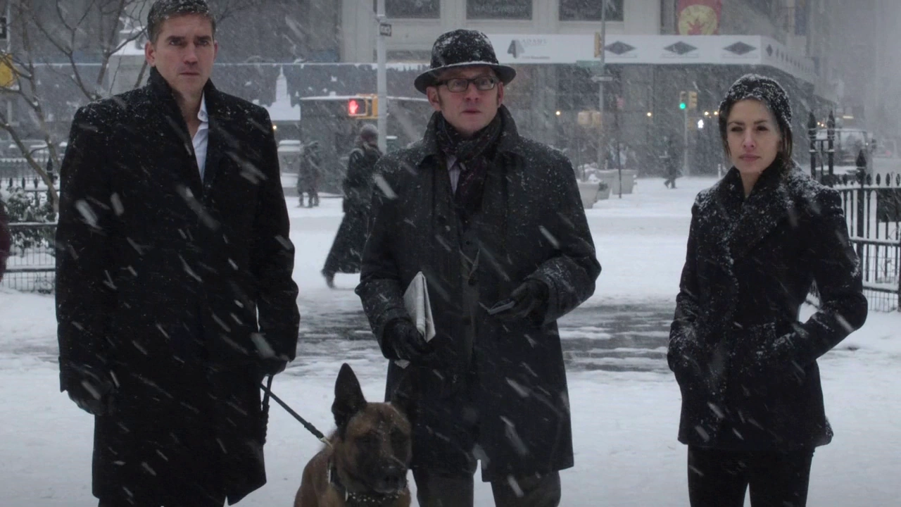 Root Path (/)/Summary | Person of Interest Wiki | Fandom