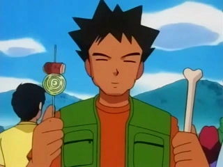 Brock (Pokémon) | Wiki PedroFilms, Inc. | Fandom