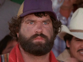 Andy | Pee-Wee's Big Adventure Wiki | Fandom