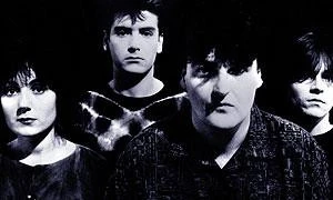 Into Paradise | John Peel Wiki | Fandom