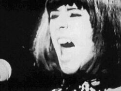 Judy Henske | John Peel Wiki | Fandom