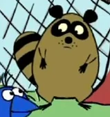 Raccoon | Peep and the Big Wide World Wiki | Fandom