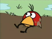 Chirp | Peep and the Big Wide World Wiki | Fandom